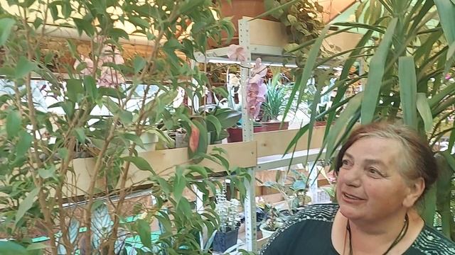 РАСТЕНЕВОДОМ