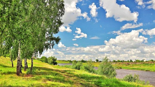 Земля Матушка №54