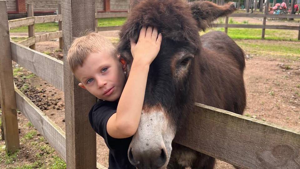 Спа Отель Аврора клуб 4* Ленинградская область, CПА, ,бассейн, гольф, пляж, конюшня, зоопарк обзор