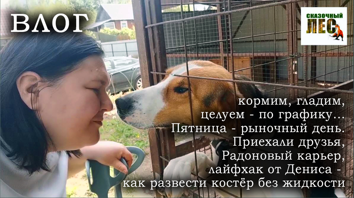 ВЛОГ/из города в деревню/БЫТ и БАЗАРНЫЙ ДЕНЬ/приехали друзья, РАДОНОВЫЙ КАРЬЕР/мангал/СКАЗОЧНЫЙ ЛЕС