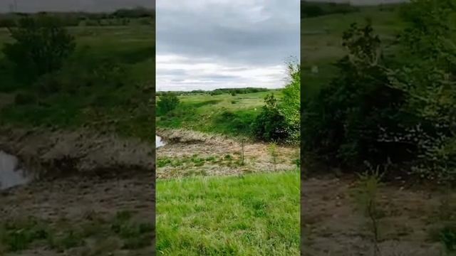 № 25 Бертасова Ольга, г Димитровград СК «Тольятти спортинг».mp4