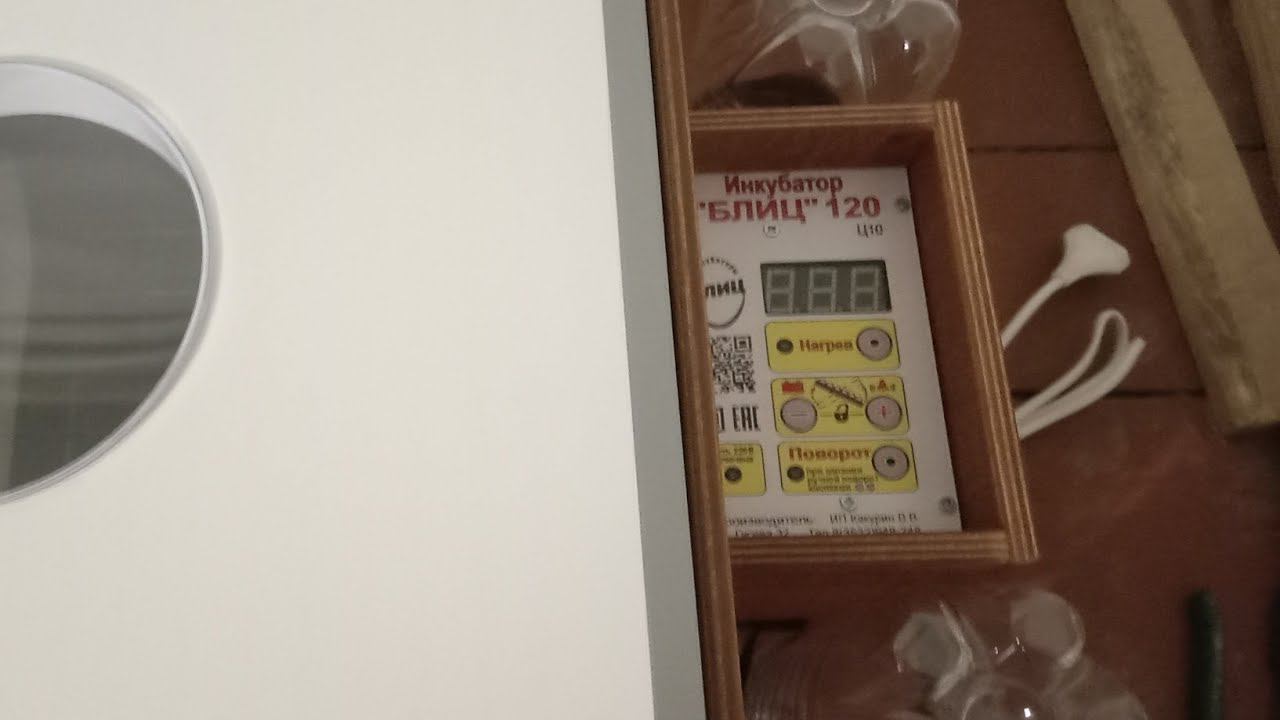 Инкубатор Блиц 120-Ц10 обзор//Какой инкубатор лучше Несушка или Блиц