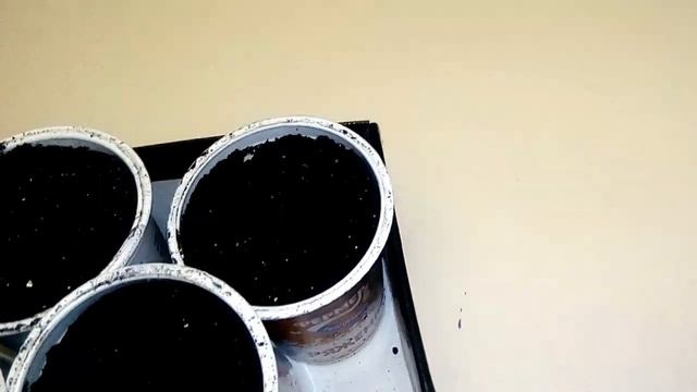 #лагенария#лебедушка#подвой_для_огурцов Лагенария или гусь в яблоках.mp4