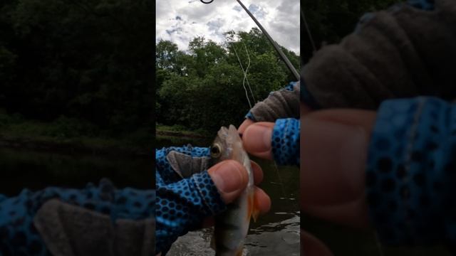 Мормышинг ! Ловля Окуня ! Наноджиг ! Рыбалка ! Кирюха на Оке !
