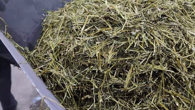 Измельчитель соломы Шредер ИШМ-220 ножи 9 мм 9 зубьев произошло зависание в камере измельчения