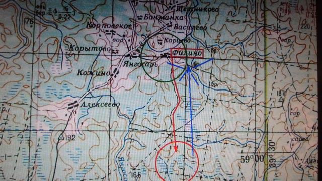 Заблудились в лесу. Как выйти обратно?