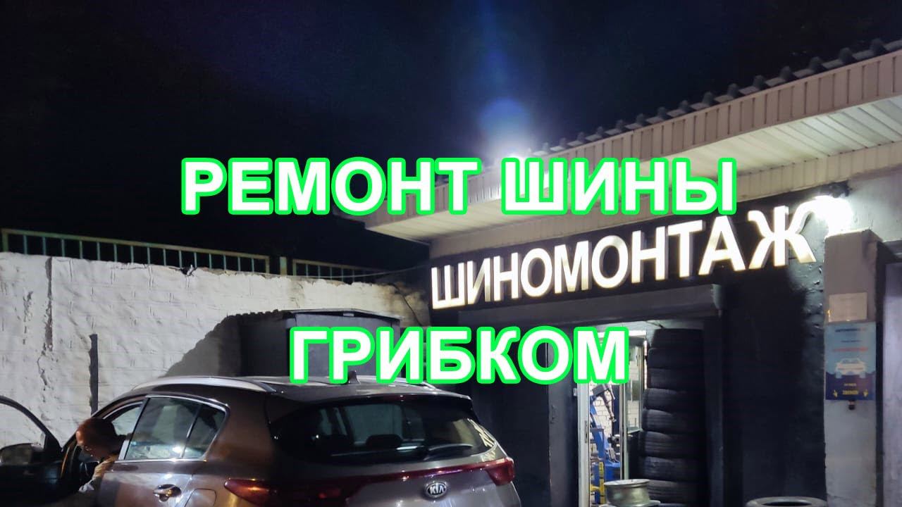 Ремонт шины грибком