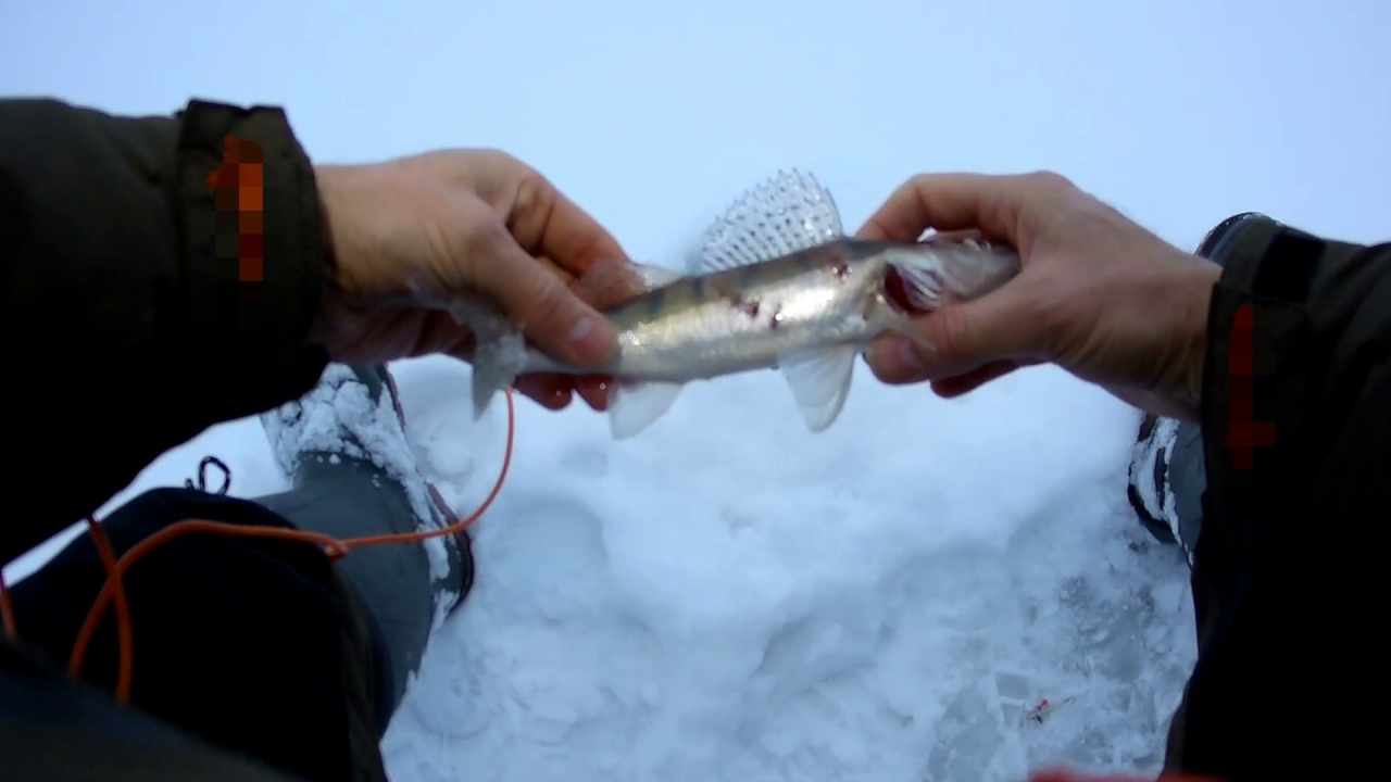 ЗА СУДАКОМ СО ЛЬДА НА РАТТЛИН ЧАСТЬ 3.mp4