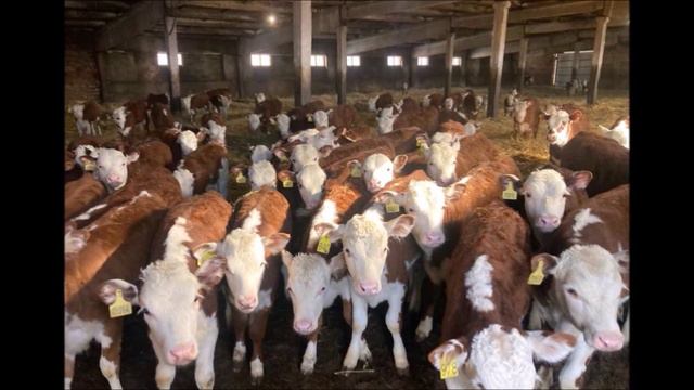 Настоящий фермер – это будущее нашей страны!