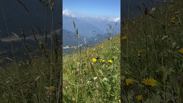 Тизер#5 с нашего похода в Архыз #архыз #россия #кавказ #russia #caucasus #hiking #trekking #trekkamp