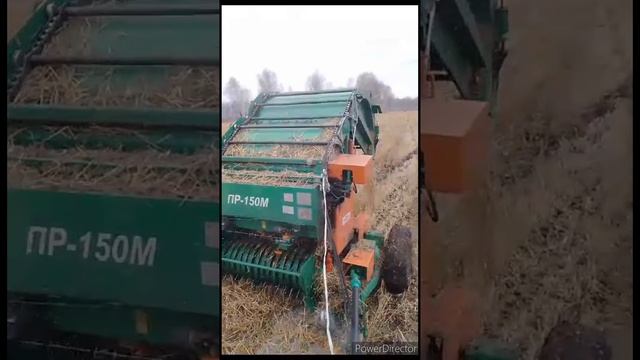 268_А мы в деревне не скучаем