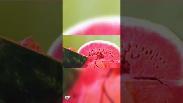 Арбузный рай