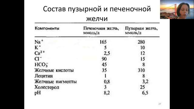 Лекция  Анатомо физиологические особенности ЖВП и поджелудочной железы