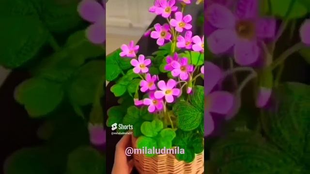 цветы связанные крючком ?? друзья, подписывайтесь на мой канал. вас ждёт много нового??.mp4