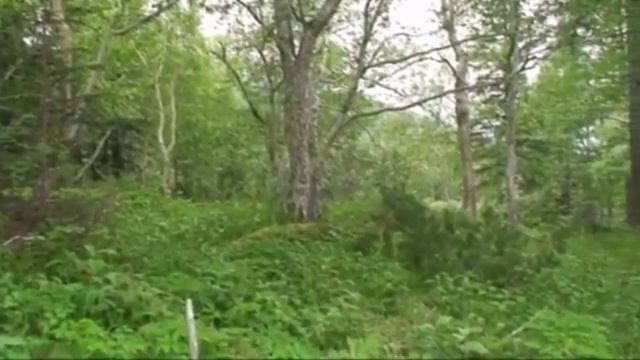 озеро Карбахон..mp4 (1).mp4