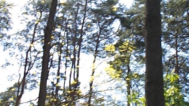 DSCN3896.AVI Краснодар паркСафари парк Галицкого 2021