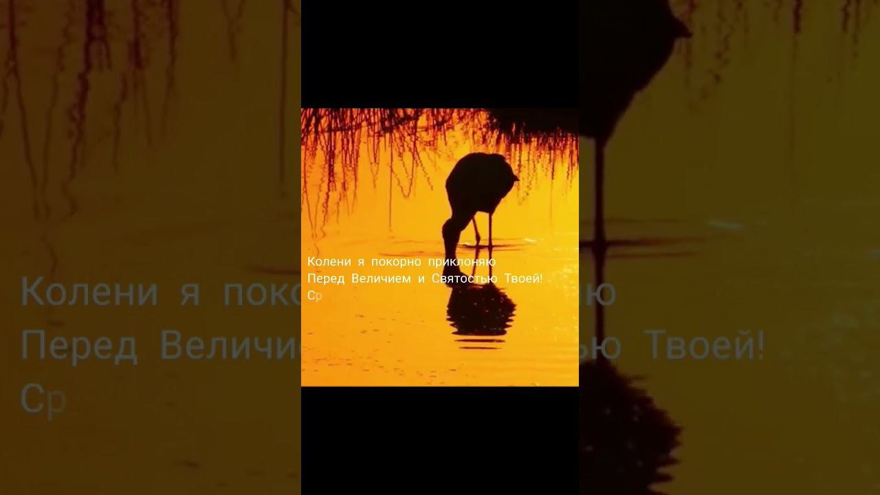 Мой разум непрестанно восхищает...