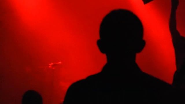 СОБАКИ ТАБАКА -Досасывая леденец жизни