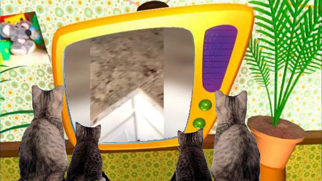 014. 8 августа - Зинаида Переполох. День кошек.