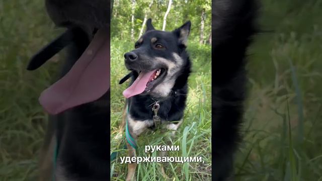 Фокус готов быть для тебя всем