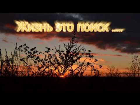 Золотая осень.Поиск монет в октябре (10.10.2018)