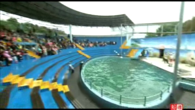 Карпенко Злата в Китае