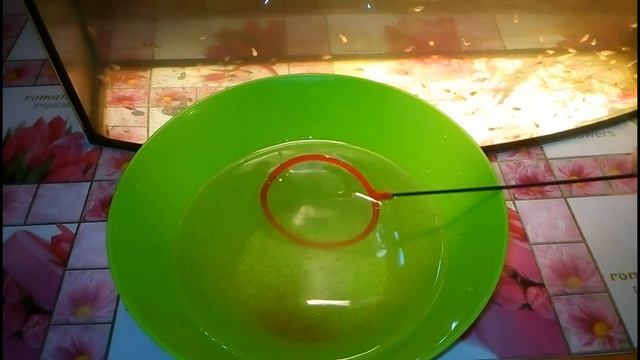 Дафния из черепашника