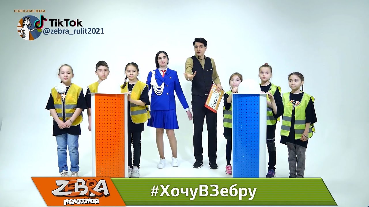 Полосатая зебра. Сезон 2021. 3-й отборочный тур.