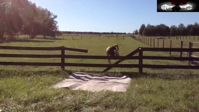 И смех и грех №7