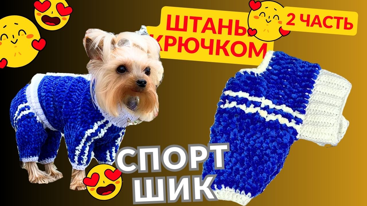 Мастер-класс: Вязание штанов для собаки крючком - Часть 2: Спортивный костюм