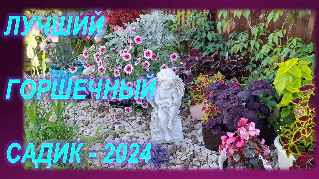 Мой горшечный садик-2024. Приглашаю прогуляться, послушать цикад, кобылок и кузнечиков