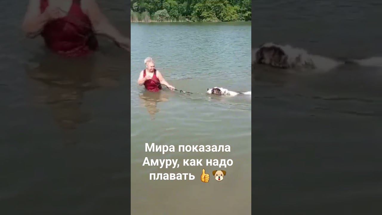 Авва Мирослава из дома Аблаевых