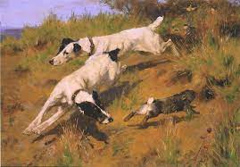 Г/ш фокстерьер и другие животные или какой должна быть правильно обученная охотничья собака