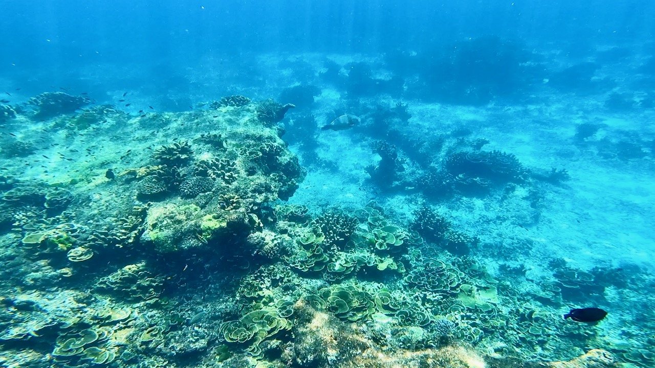 Подводный мир Симиланских островов