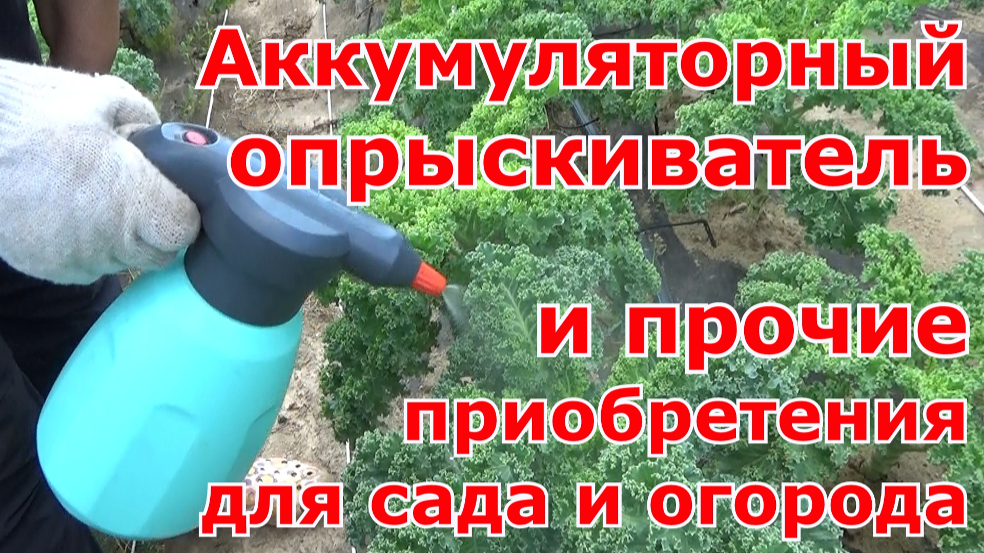 Опрыскиватель аккумуляторный ручной ZĚMA (Зёма) 2 литра, профессиональные садовые ножницы и секатор.