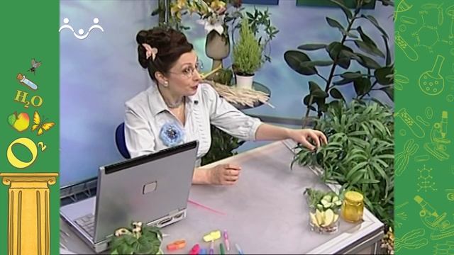 Академия Занимательных Наук. Биология. Как проращивать пшеницу. Одуванчик