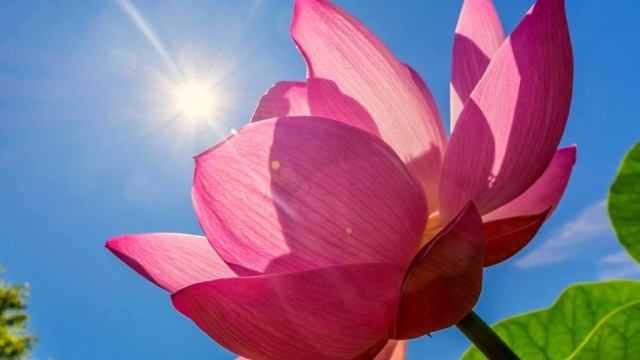 По потребностям Души. Об экономической и финансовой составляющих нового общества на Земле.