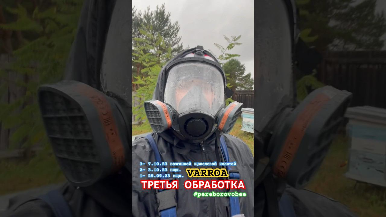 Третья обработка щавелевой кислотой! ПАСЕКА! #pereborovobee #пчеловодство #пасека #varroa