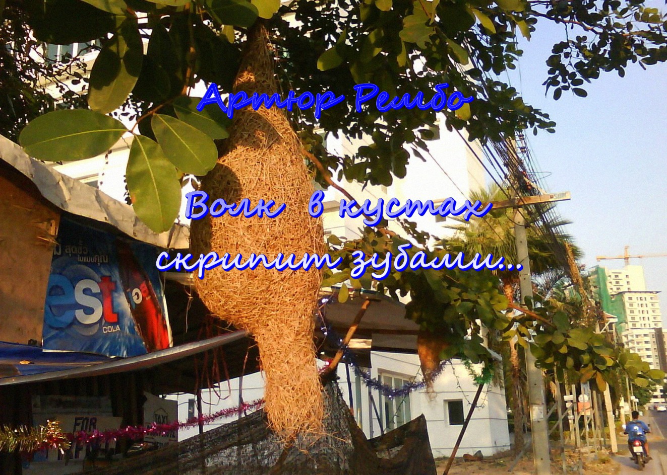 Артюр Рембо. Волк в кустах скрипит зубами