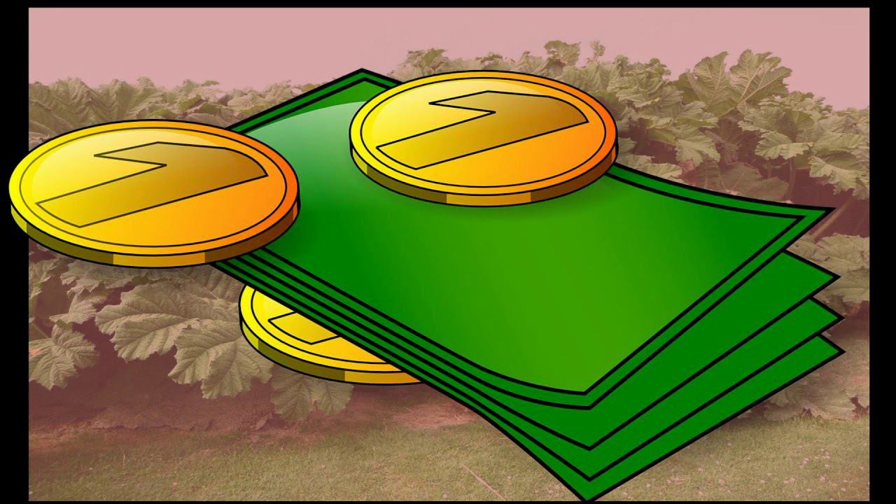 Как избежать штрафов на дачном участке #Юрист #Зеленоград #АэНБИ #недвижимость