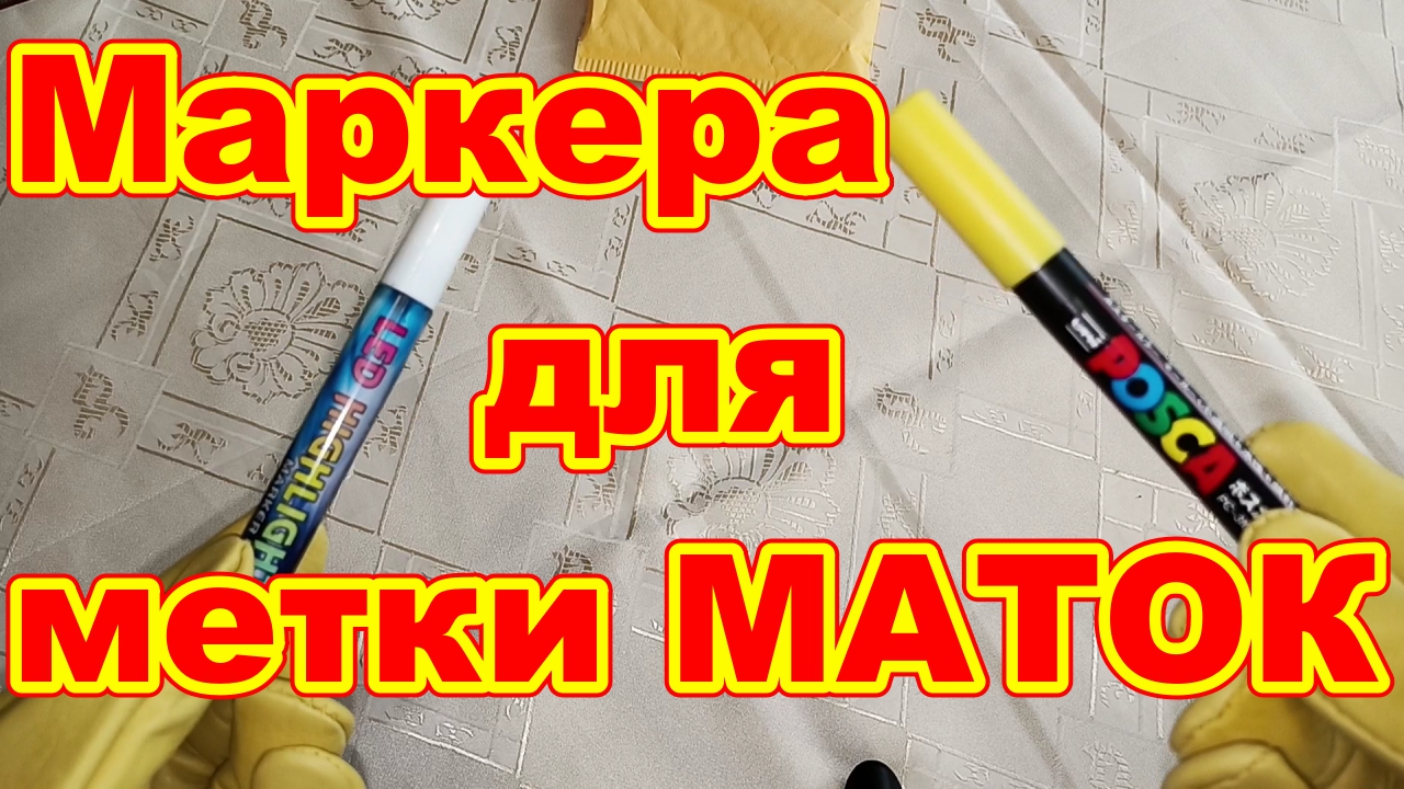 Маркера для метки пчелиных маток + Перчатки для пчеловода ! Товары для пчеловодства с AliExpress !