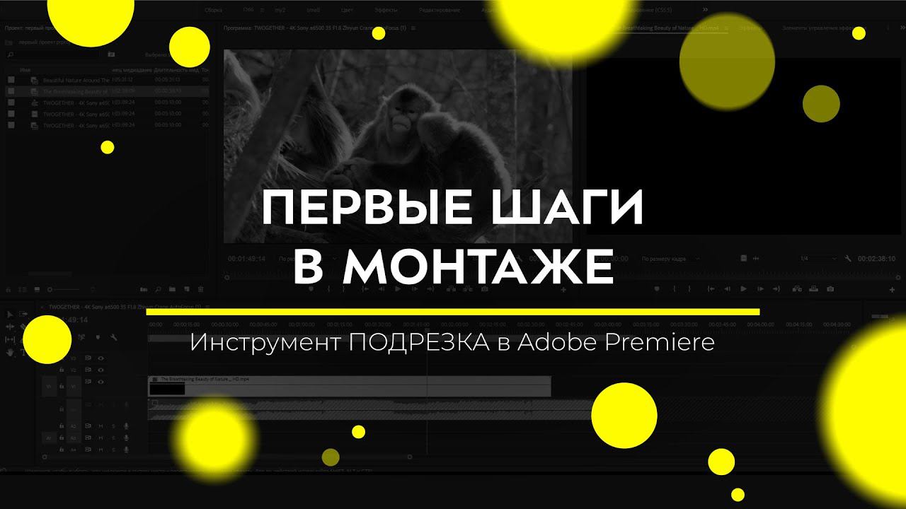 Первый урок марафона про видео