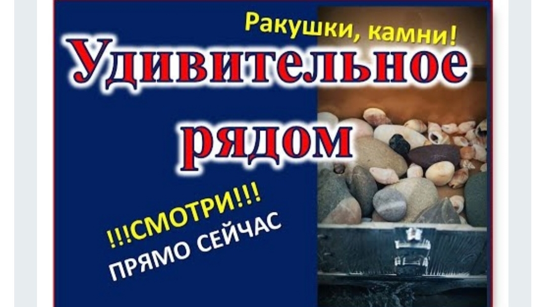 Удивительное рядом. Александра Миркушова