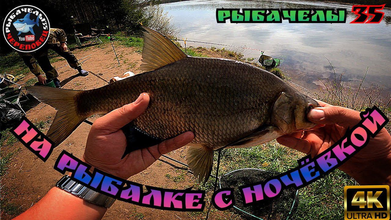 Рыбалочка с ночёвкой на р.Суда!Отдохнули,половили рыбки,встретили подписчиков!!!Супер отдыхнули