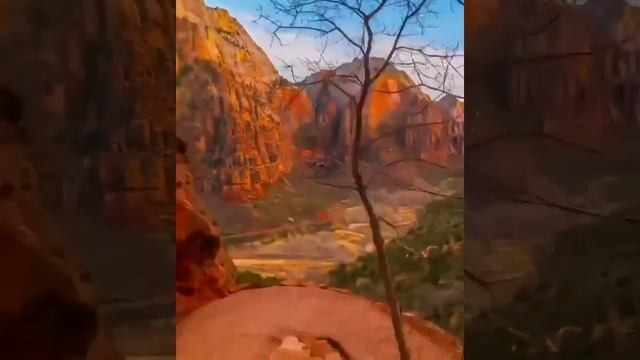 Национальный парк Zion США