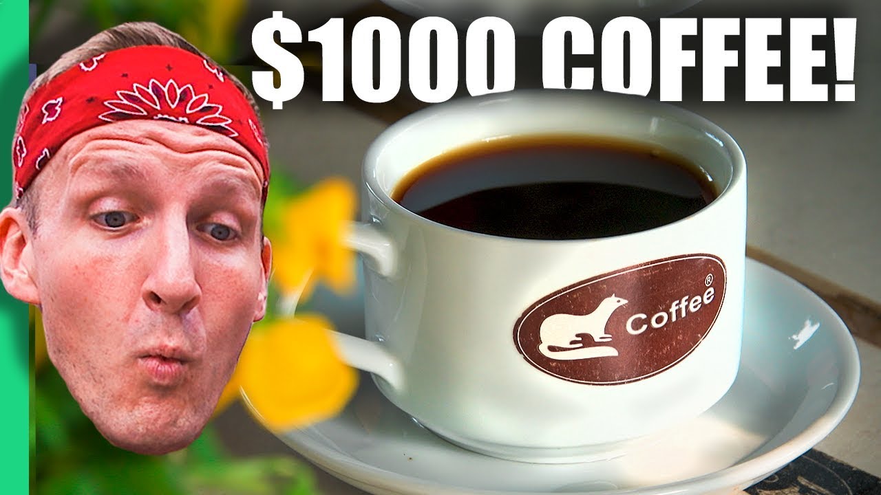 $1 Coffee VS $1000 Weasel Poop Coffee - Da Lat, Vietnam