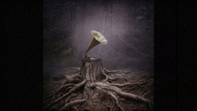 Н. Заболоцкий - «Облетают последние маки»