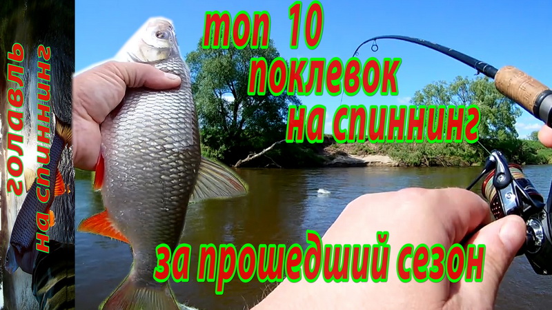 Топ 8 лучших воблеров на голавля прошлого сезона. Рыбалка на спиннинг.