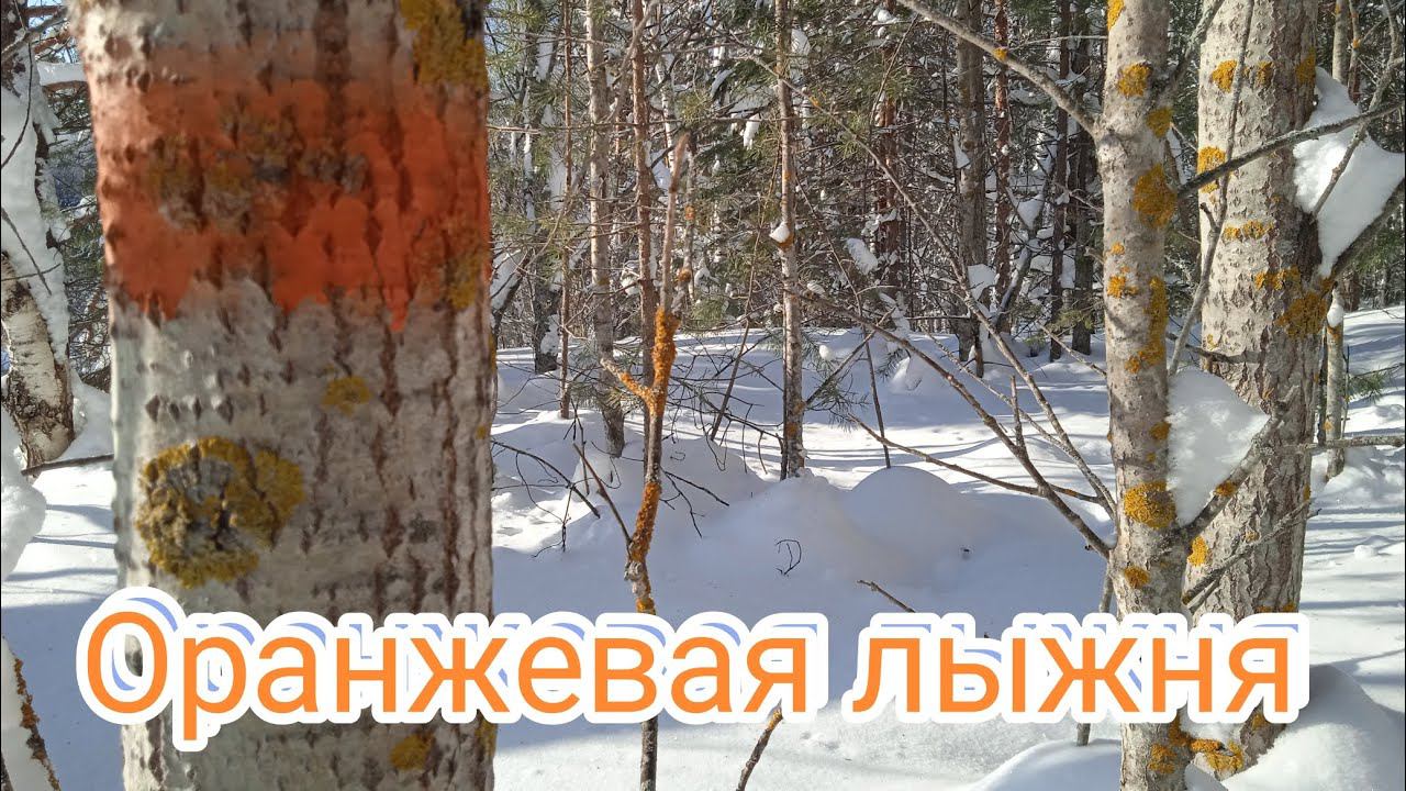 Оранжевая лыжня 1