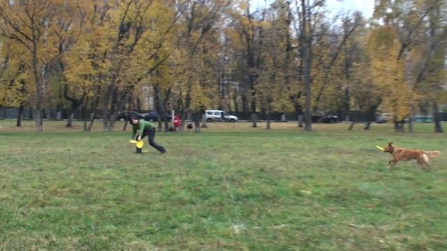 Фризби Фристайл Алия и Ирвин Осенний вальс.mp4